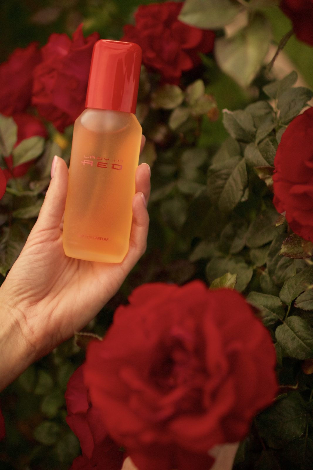 Lady in Red: An Elegant Holiday Fragrance | thehouseofmag.com